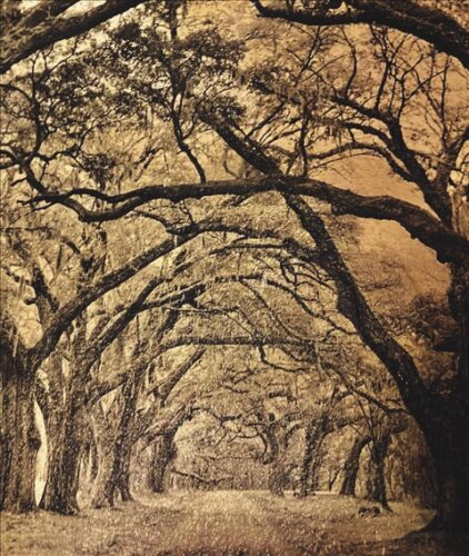 KENNETH REED, SR. | News, Sports, Jobs - The Herald Star